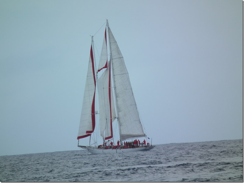 Veleiro Guga Buy: CARIBE – Antigua - Regata de clássicos (16/abr/2011